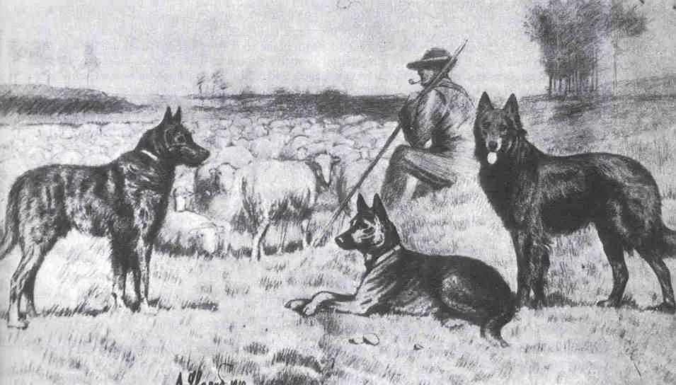 Dogs in Ancient World